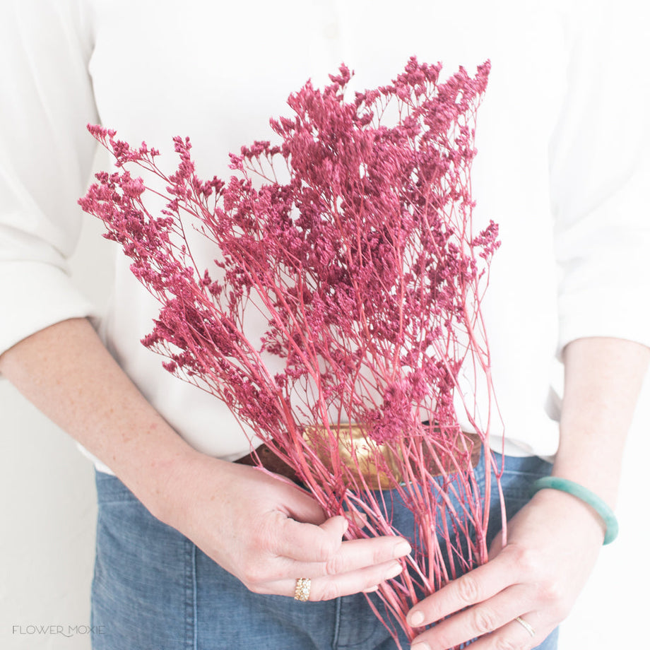 Limonium – Flower Moxie