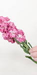 Mauve Stock Flower | Bulk DIY Weddings | Flower Moxie