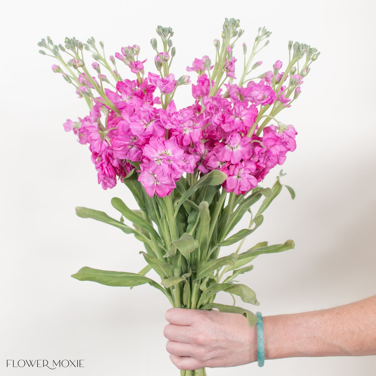 Medium Pink Stock Flower | Bulk DIY Weddings | Flower Moxie