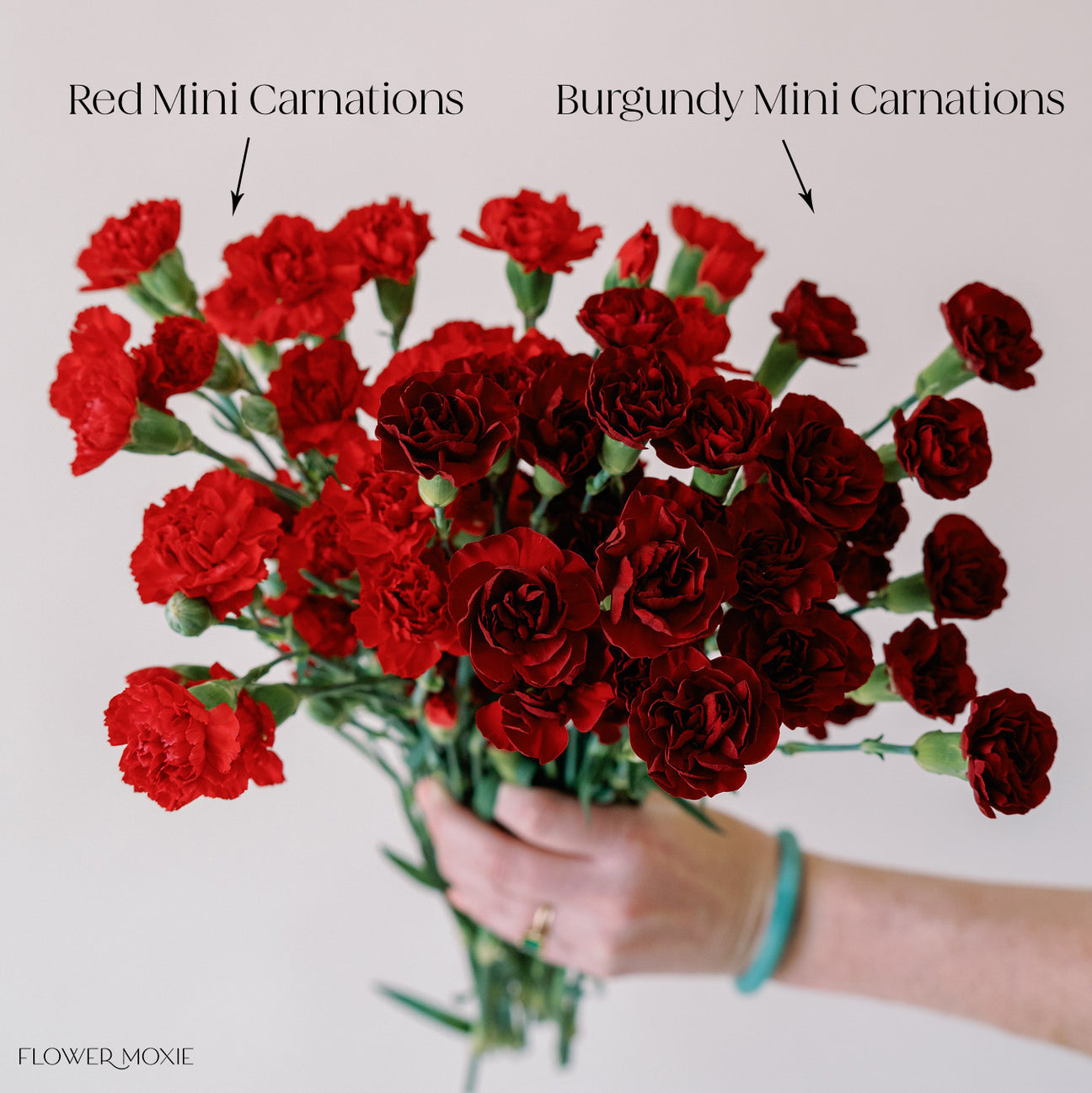 Red Mini Carnation Flowers | DIY Wedding Flowers | Flower Moxie