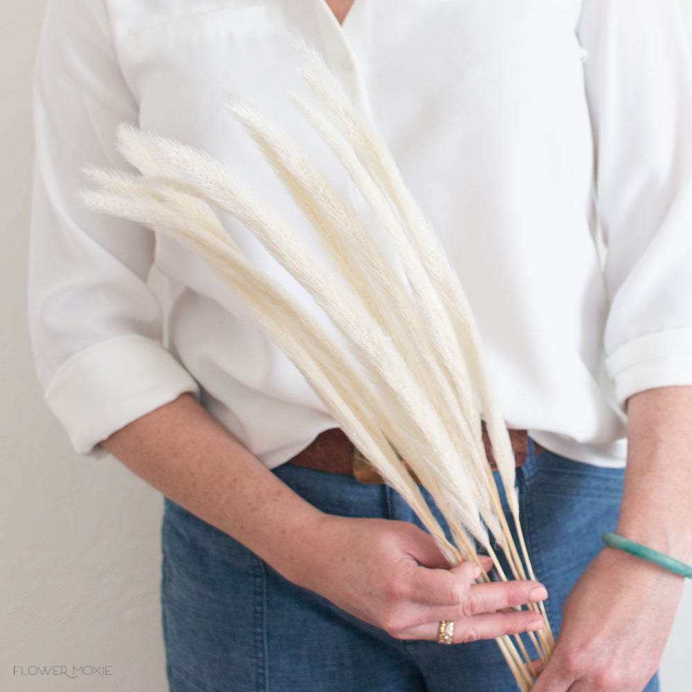 Dried Bleached White Monkey Tail Flowers | Flower Moxie