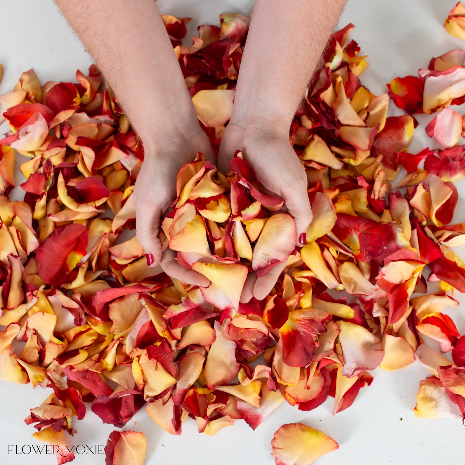 Warm Ochre Rose Petals | Fresh DIY Wedding Flowers | Flower Moxie
