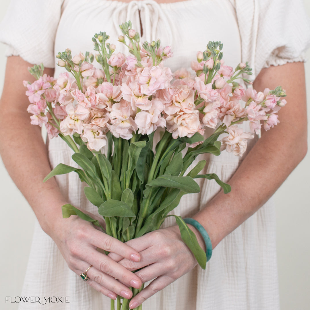 Peach Stock Flower | Bulk DIY Wedding Flowers | Flower Moxie