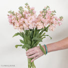 Stock Flowers | Bulk Fresh Wedding Flowers Online – Flower Moxie