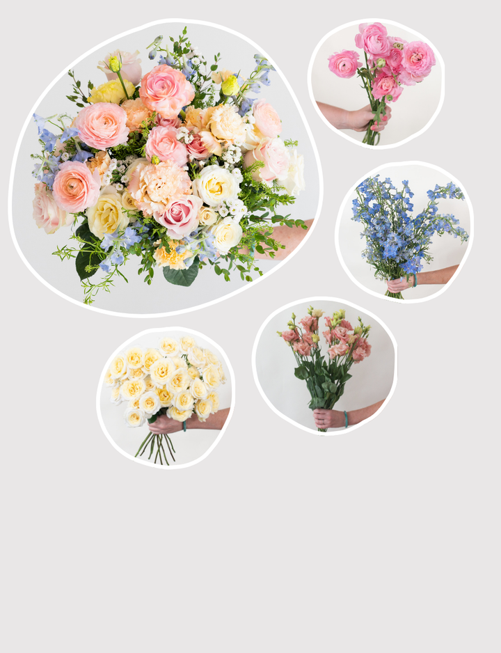All About Quicksand Roses – Flower Moxie