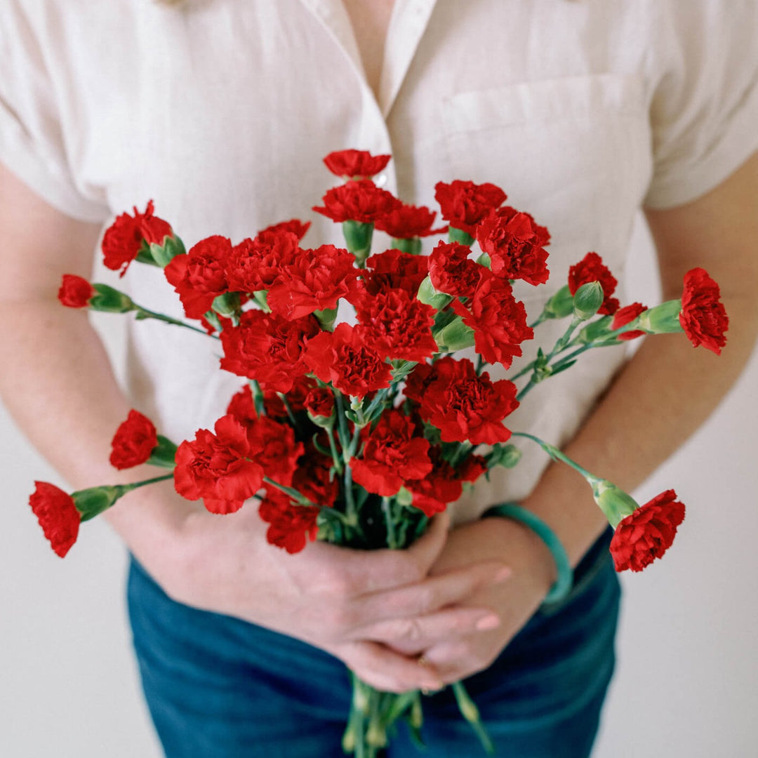 Red Mini Carnation Flowers | DIY Wedding Flowers | Flower Moxie