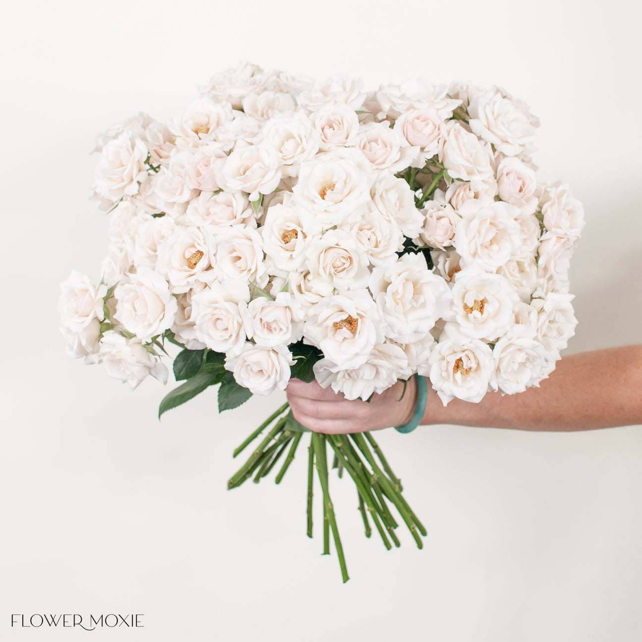 Majolika Spray Roses Mixed Box | Flower Moxie Bulk Flowers