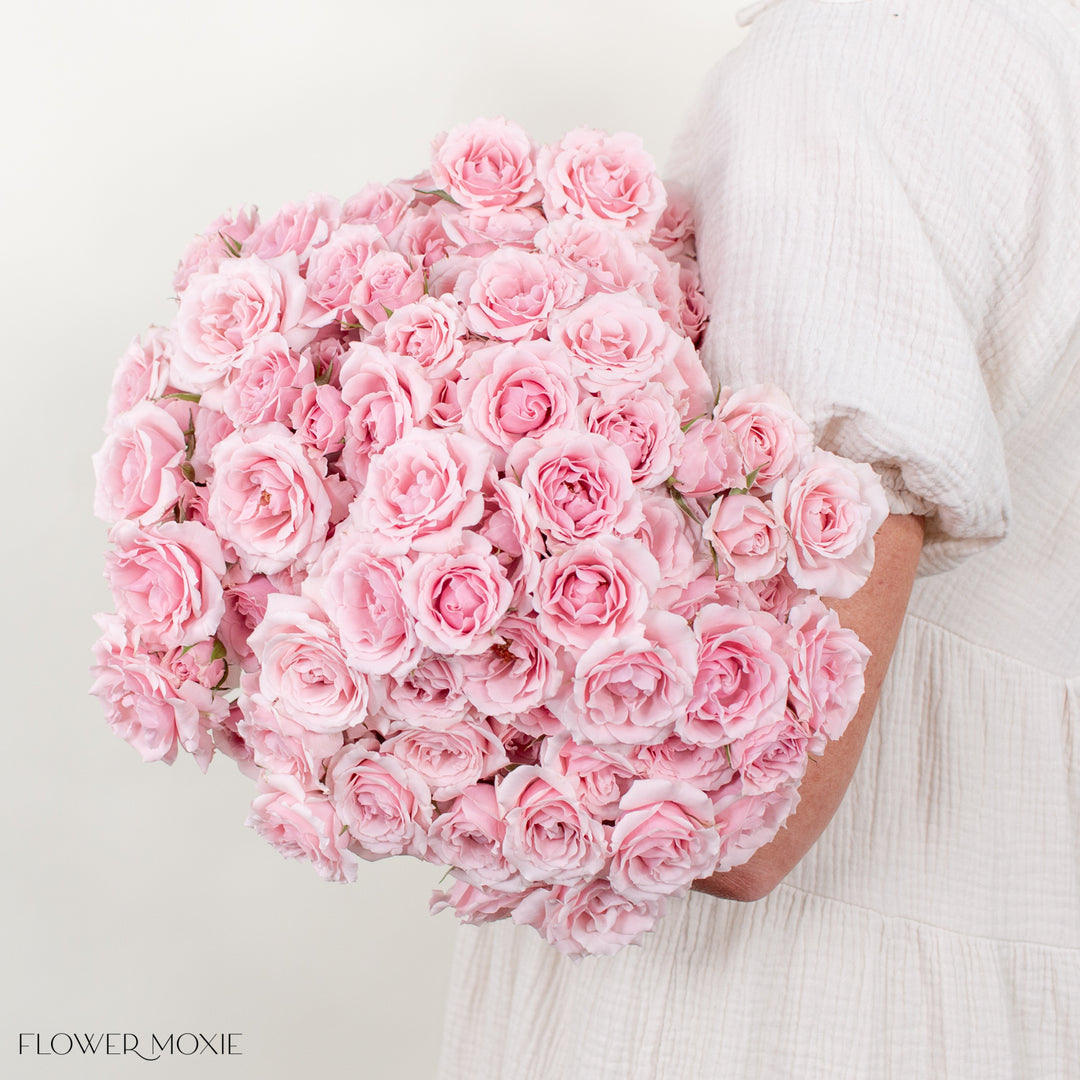 Majolika Spray Roses Mixed Box | Flower Moxie Bulk Flowers