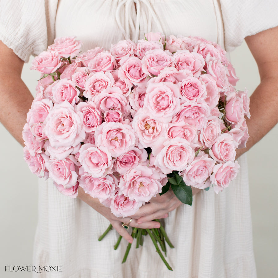 Majolika Spray Roses Mixed Box | Flower Moxie Bulk Flowers