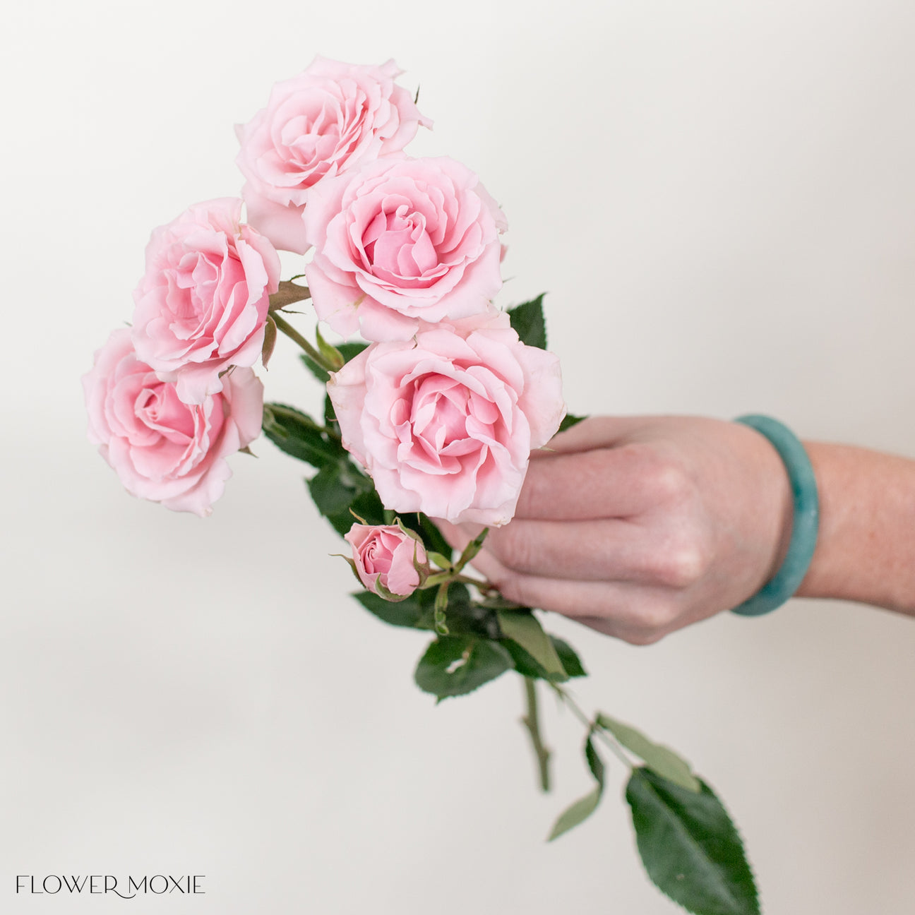 Majolika Spray Roses Mixed Box | Flower Moxie Bulk Flowers