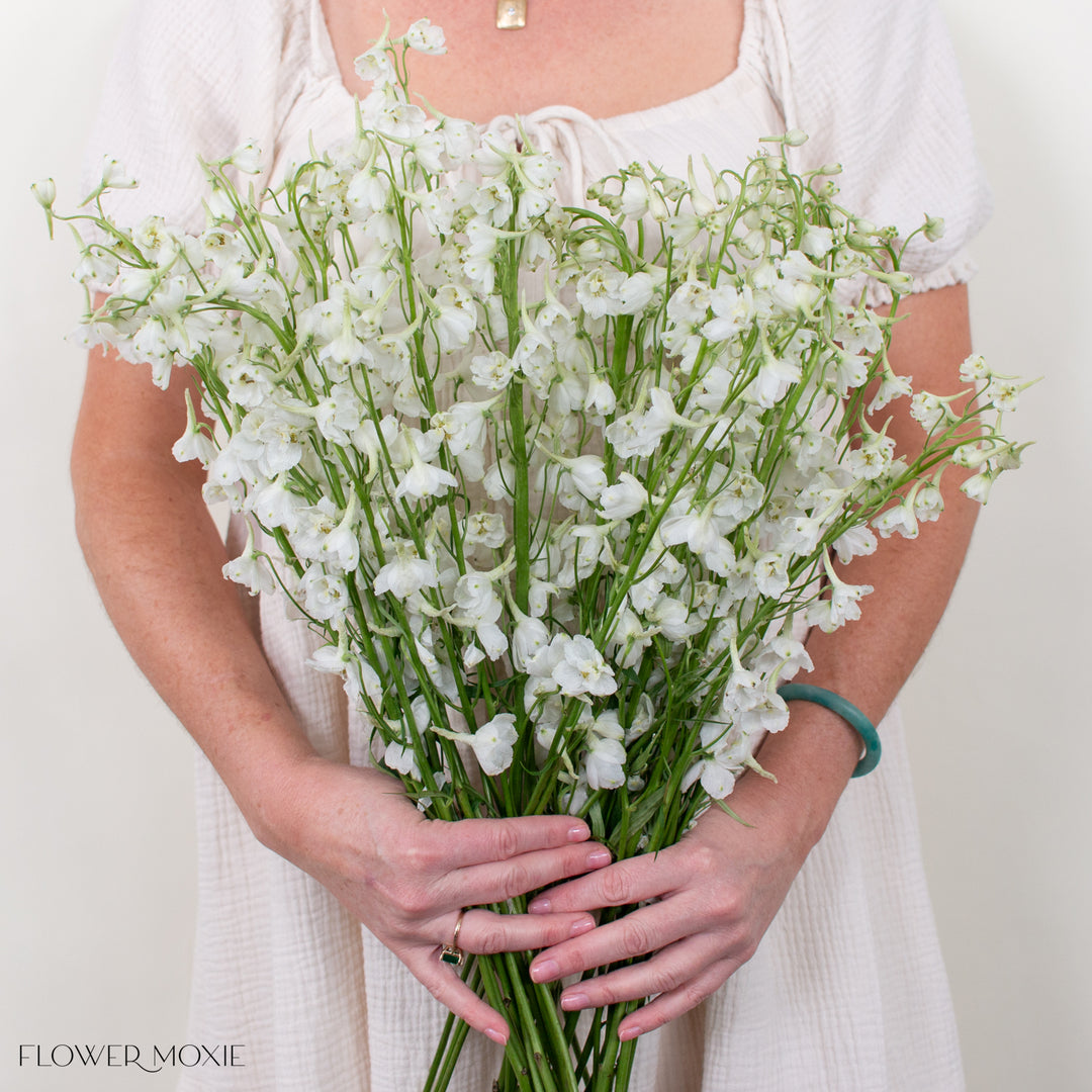 Delphinium Mixed Box | Flower Moxie Bulk Flowers