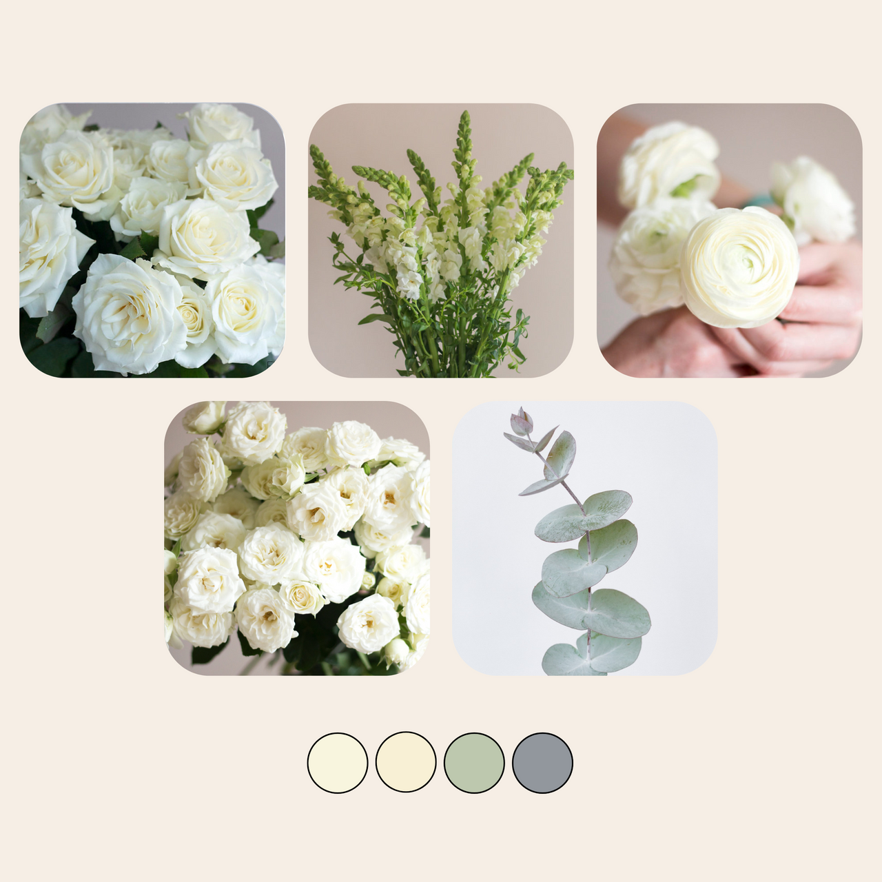 Mixed Flower Boxes – Flower Moxie