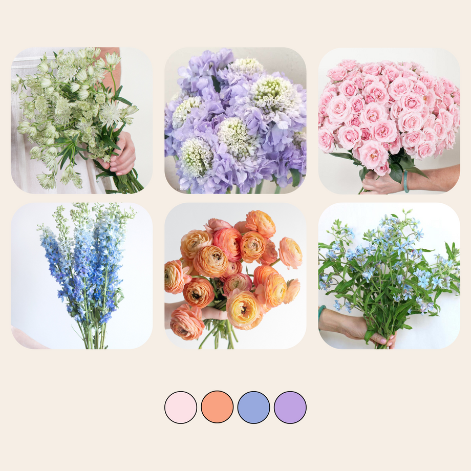 Mixed Flower Boxes – Flower Moxie