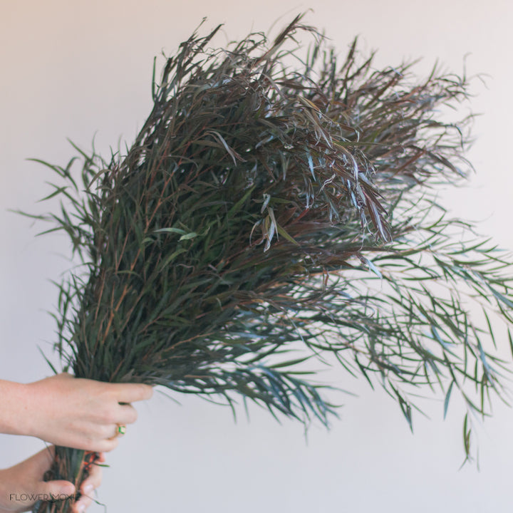 Agonis Greenery | DIY Wedding Flowers | Flower Moxie