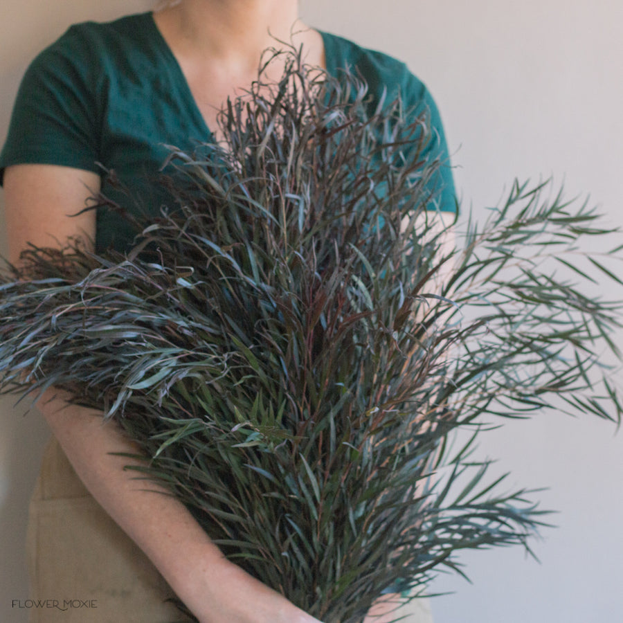 Agonis Greenery | DIY Wedding Flowers | Flower Moxie