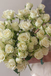 White and Cream Spray Roses | Bulk Wedding Flowers - Flower Moxie