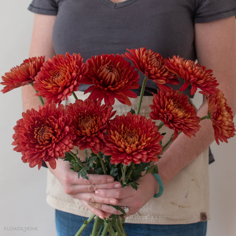 Orange Cremone Flower | DIY Wedding Flowers | Flower Moxie
