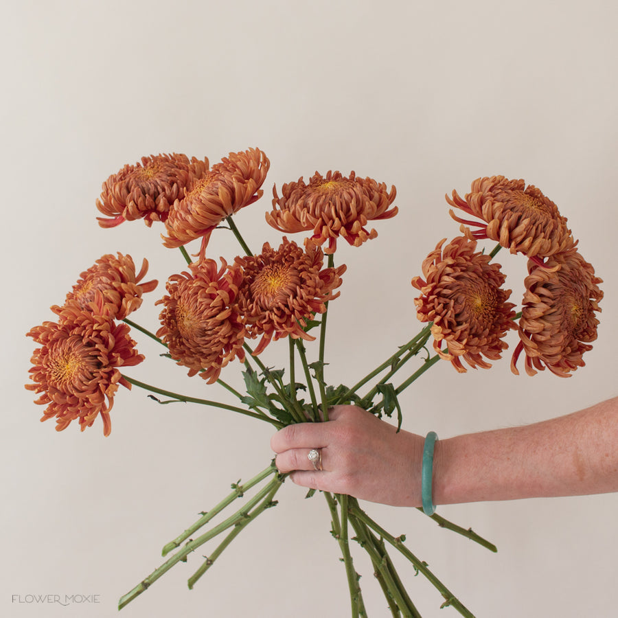 Bronze Football Mum Flower | DIY Wedding Flowers | Flower Moxie
