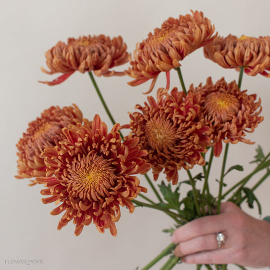 Bronze Football Mum Flower | DIY Wedding Flowers | Flower Moxie