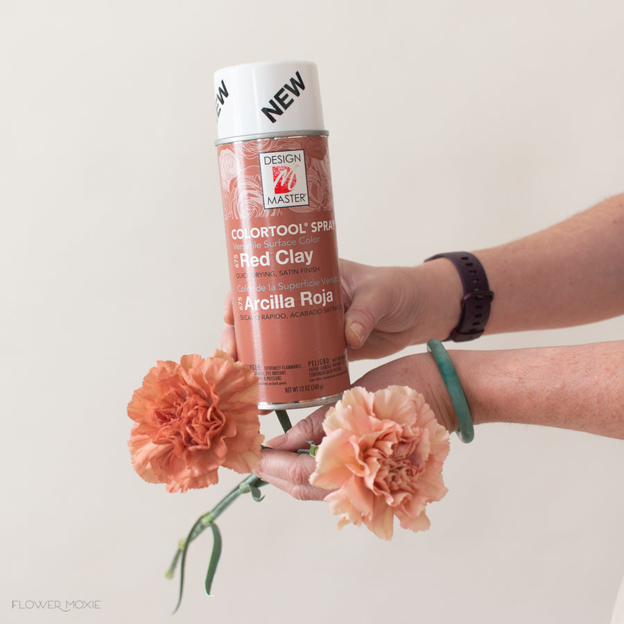 Terracotta Carnations | Bulk DIY Wedding Flowers | Flower Moxie