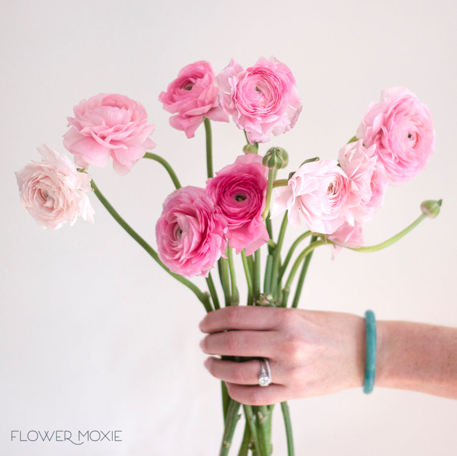 Light Pink Ranunculus | Bulk Fresh DIY Weddings | Flower Moxie