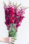 Burgundy Snapdragons | DIY Wedding Flowers | Flower Moxie