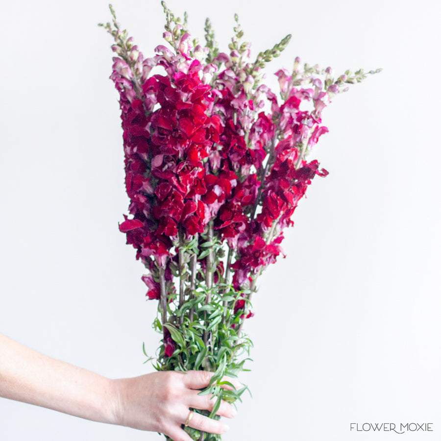 Burgundy Snapdragons | DIY Wedding Flowers | Flower Moxie