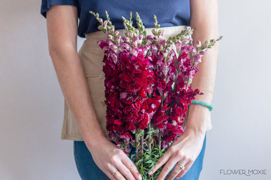 Burgundy Snapdragons | DIY Wedding Flowers | Flower Moxie