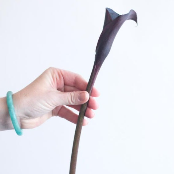 Mini Calla Lily Flower | DIY Wedding Flowers – Flower Moxie