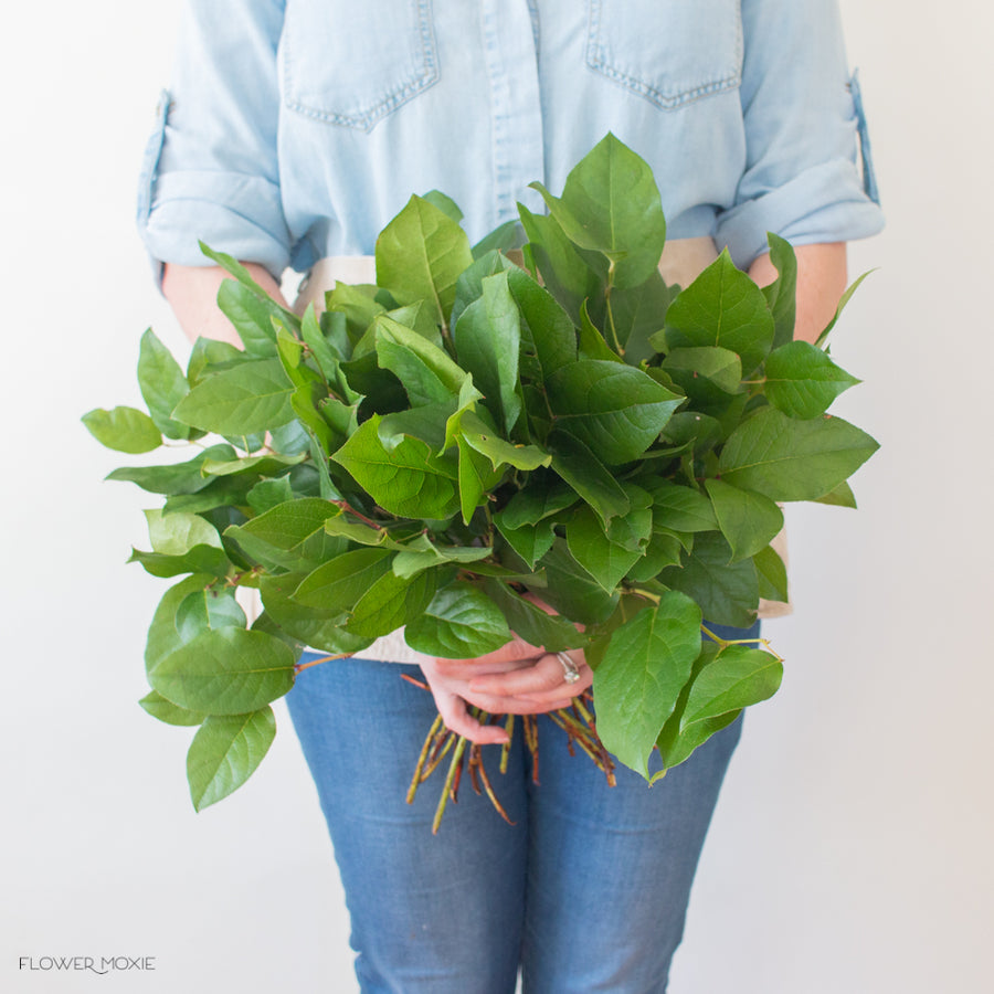 Salal Tips Greenery | DIY Wedding Flowers | Flower Moxie