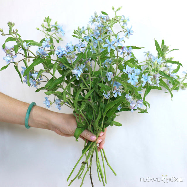 Blue Flowers | Bulk Fresh Wedding Flowers Online | Flower Moxie