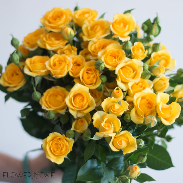 Yellow Spray Rose Flower | DIY Wedding Flowers | Flower Moxie