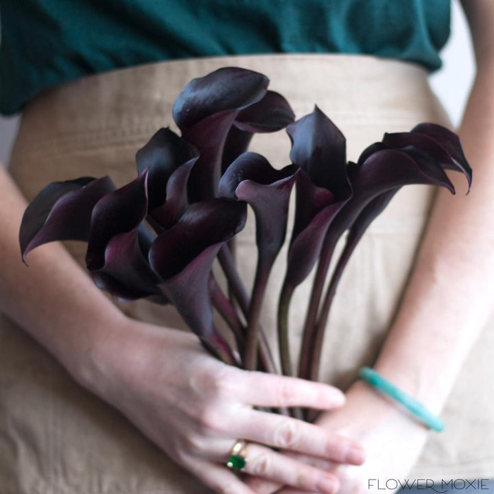Midnight Calla Lily | Fresh DIY Wedding Flowers | Flower Moxie