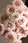 Beige Blush Quicksand Roses | DIY Wedding Flowers | Flower Moxie