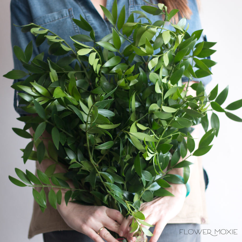Bulk Dark Greenery | True Dark Green | DIY Wedding Flowers – Flower Moxie