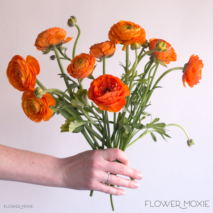 Orange Ranunculus | Bulk Fresh DIY Wedding Flowers – Flower Moxie