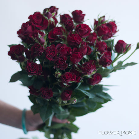 Burgundy Flowers: Bulk Wine Fresh Wedding Flowers | Flower Moxie