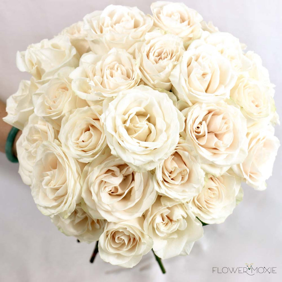 Roses in Bulk | Buy Fresh Roses Online for Wedding | Flower Moxie
