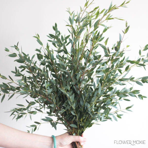 Wedding Greenery | Bulk Fresh Greens & Foliage Flowers – Flower Moxie