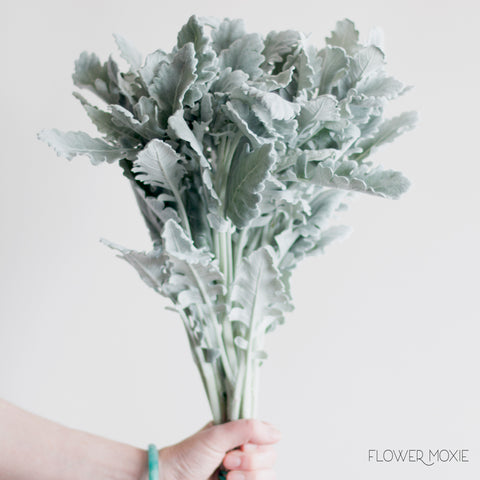 Grey Flowers Wedding Flowers – Flower Moxie