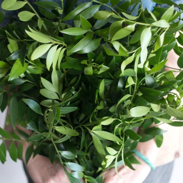 Bulk Dark Greenery | True Dark Green | DIY Wedding Flowers – Flower Moxie