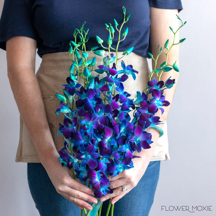Blue Dendrobium Orchids | DIY Wedding Flowers | Flower Moxie