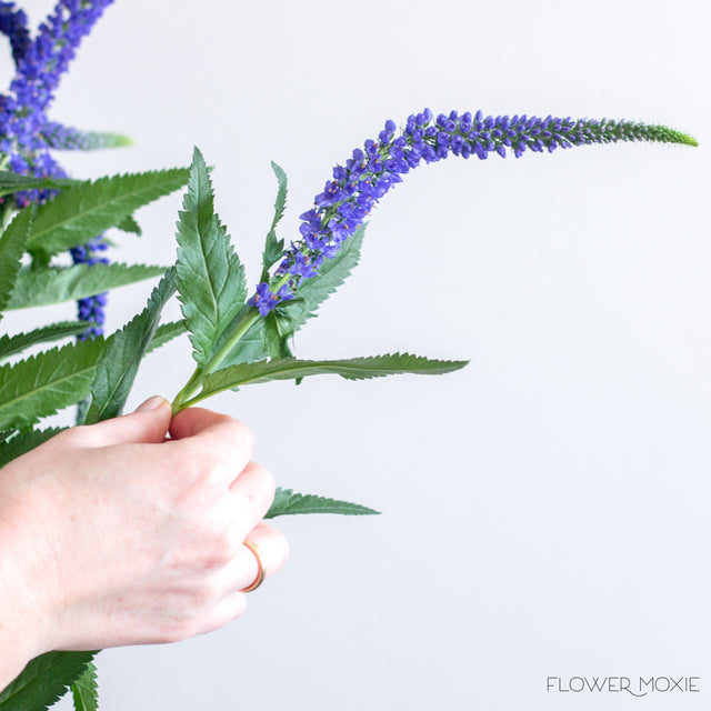 Veronica Wedding Flowers | DIY Wedding Flowers | Flower Moxie