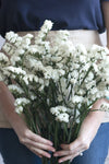 White Statice | DIY Wedding Flowers | Flower Moxie