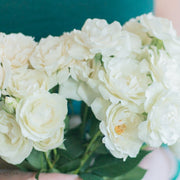 White and Cream Spray Roses | Bulk Wedding Flowers - Flower Moxie