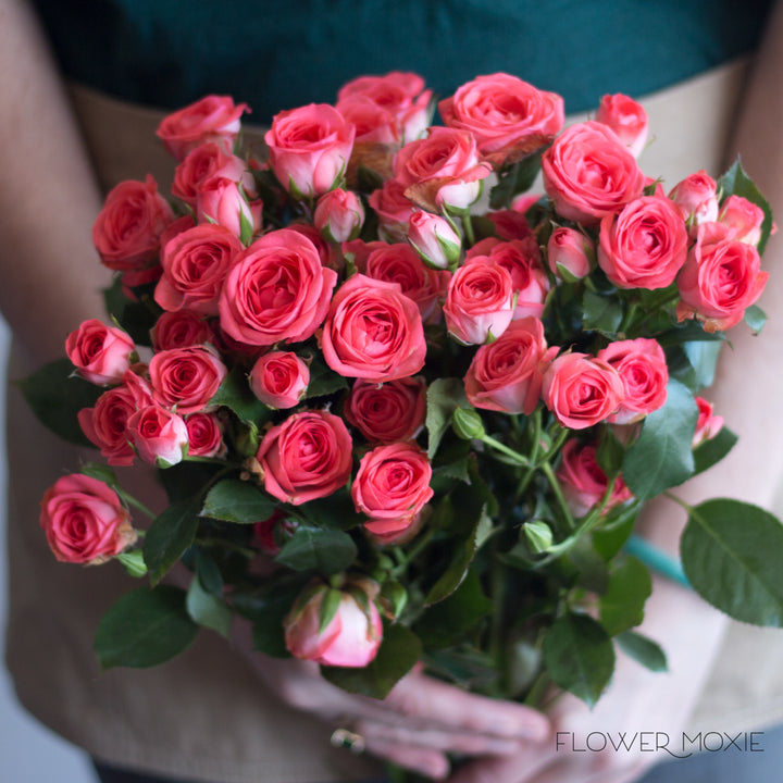 Coral Spray Rose Flower | DIY Wedding Flowers | Flower Moxie