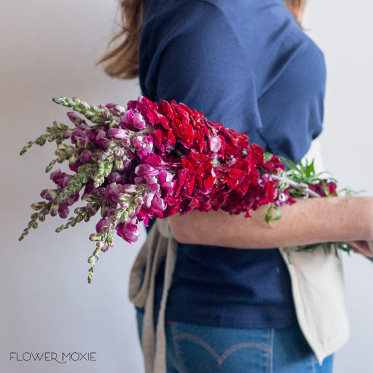 Burgundy Snapdragons | DIY Wedding Flowers | Flower Moxie