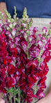 Burgundy Snapdragons | DIY Wedding Flowers | Flower Moxie