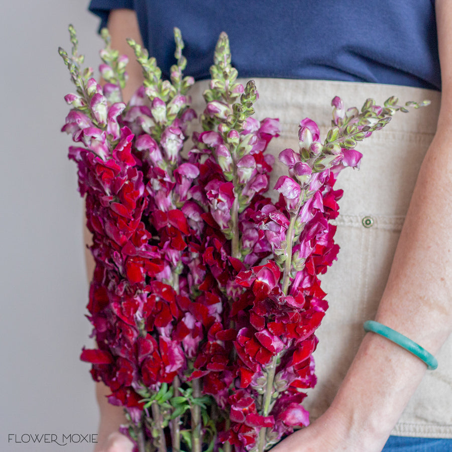 Burgundy Snapdragons | DIY Wedding Flowers | Flower Moxie