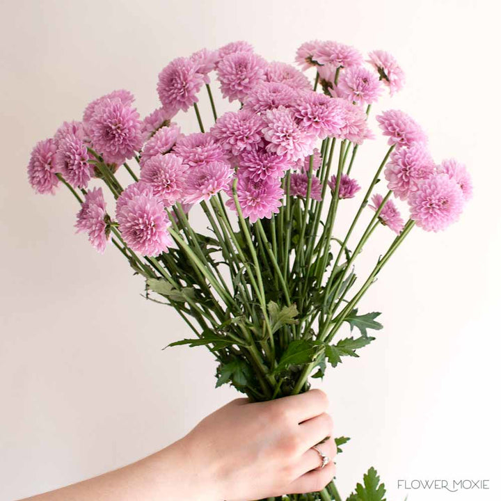 Lavender Button Pom Flower | DIY Wedding Flowers | Flower Moxie